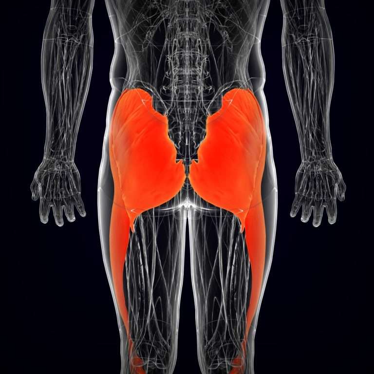 How Do You Treat Gluteal Tendonitis Pain? What It Is & What You Can Do ...